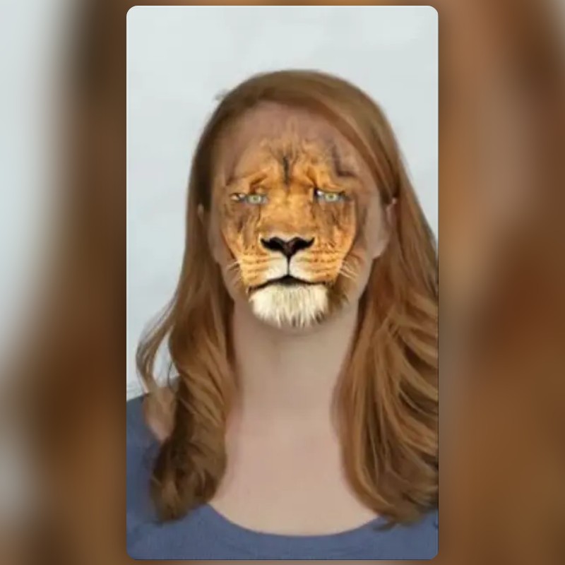 LION FACE Lens by GL - Snapchat Lenses and Filters