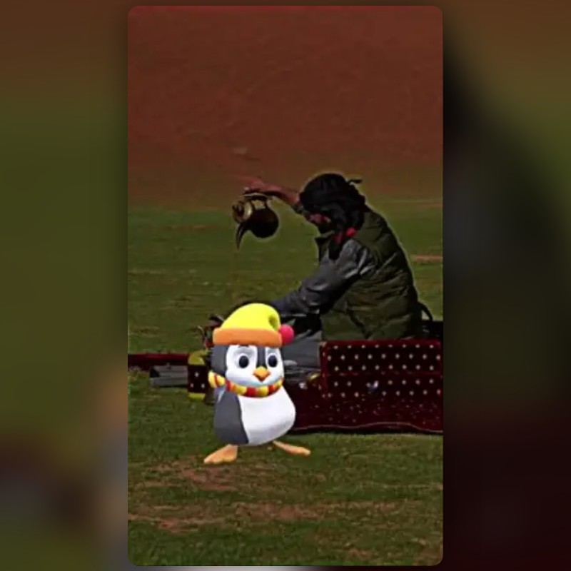 penguin Filter by فواز الخمعلي | FAWAZ | Snapchat Lenses