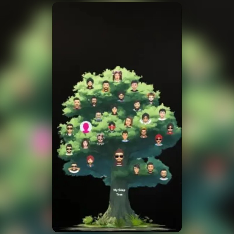 My Snap Tree Filter by Karam💫 | Snapchat Lenses