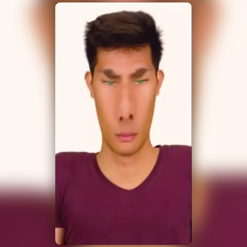 Long Face Filter by Jatinder Walia | Snapchat Lenses