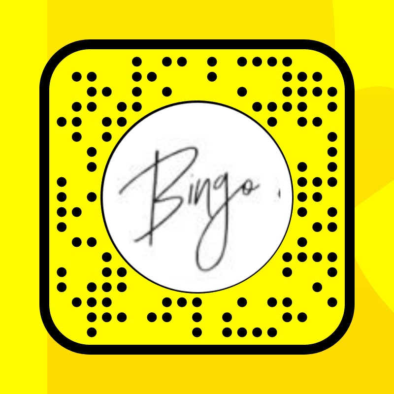 Bingo Filter by Lidia | Snapchat Lenses