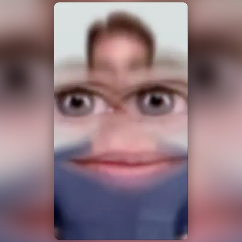 clone Filter by HARRIS 🇨🇦🏴‍☠️ | Snapchat Lenses