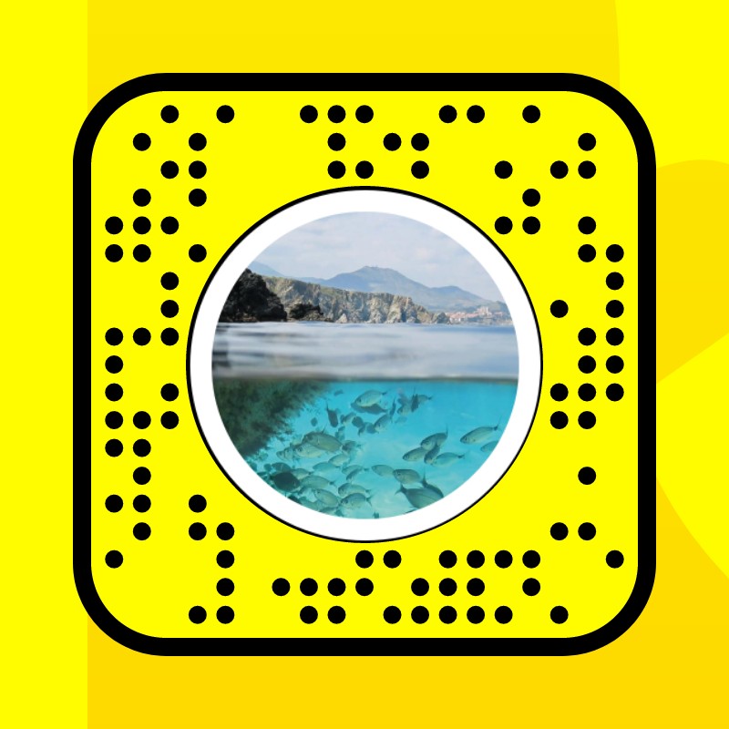 vitamin sea Lens by seannnn.h - Snapchat Lenses and Filters