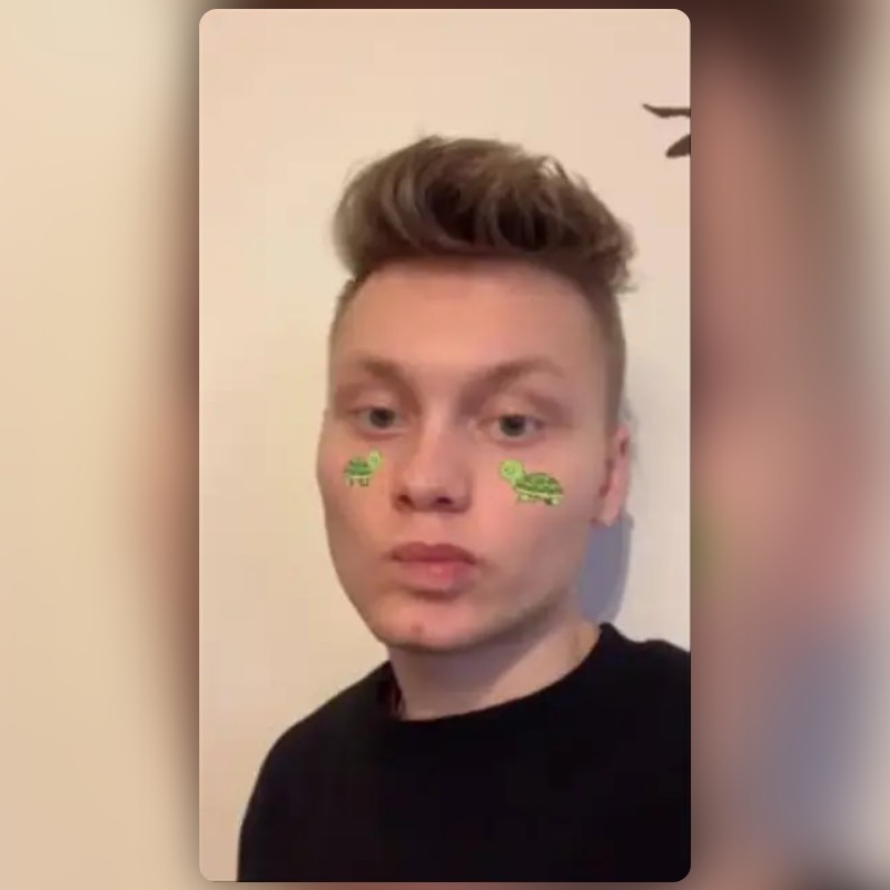 cute turtles Filter by Dominik Gontarski | Snapchat Lenses