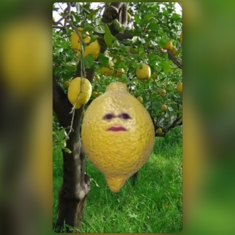 Lemon Head Lens by Marco - Snapchat Lenses and Filters