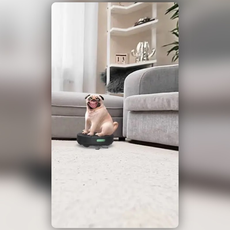 Dog on the Vacuum Lens by Snapchat - Snapchat Lenses and Filters