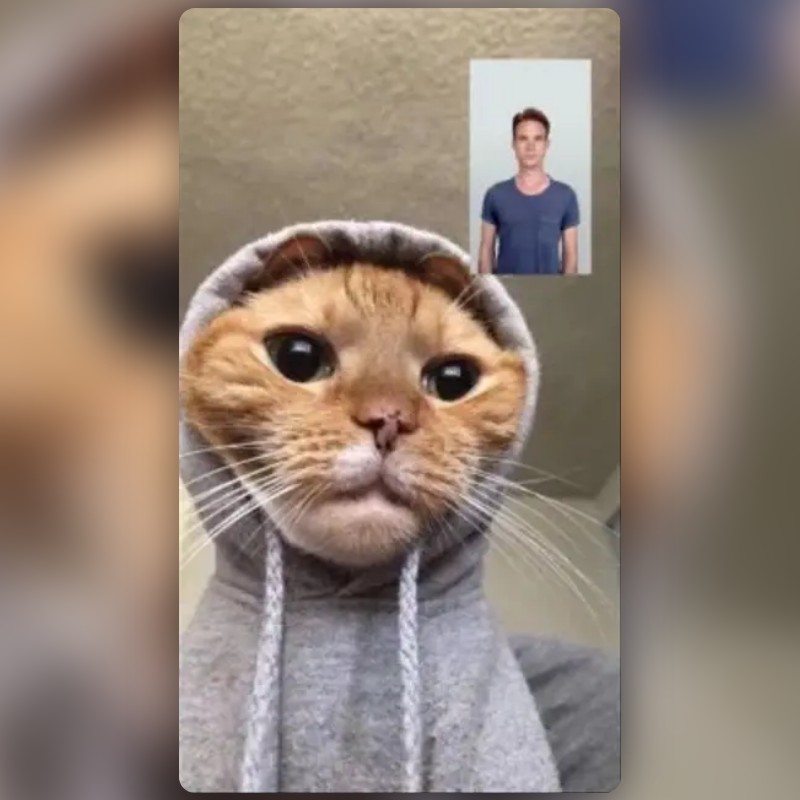 Facetiming Cat Lens by Dont Add - Snapchat Lenses and Filters