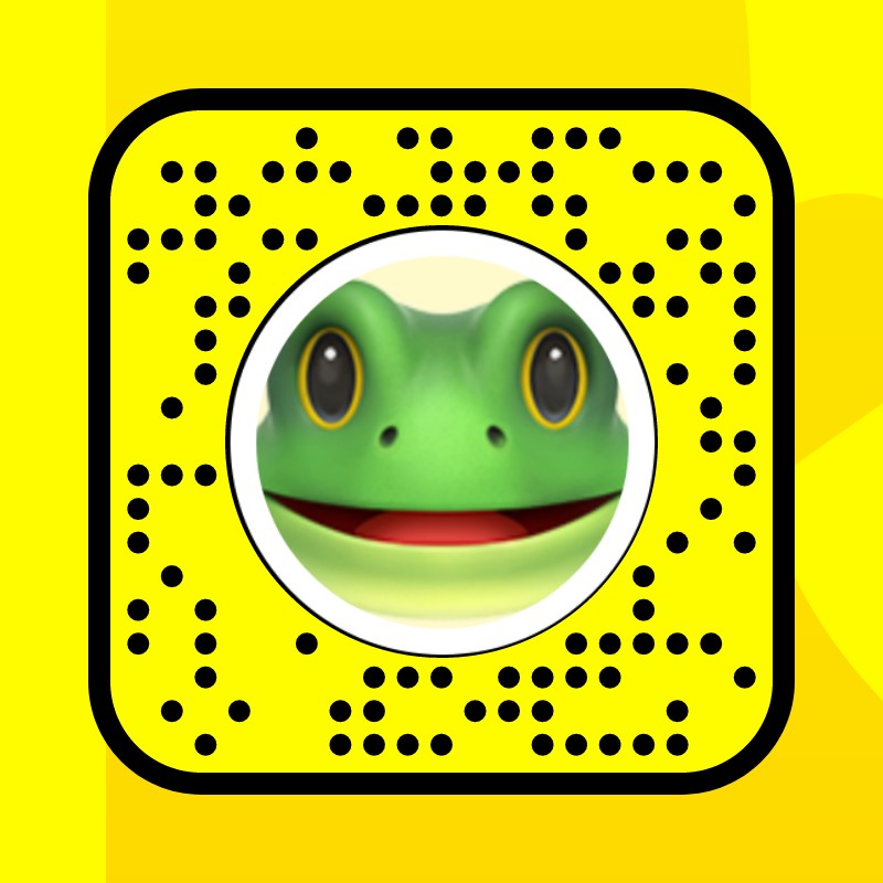 frog Filter by Lily | Snapchat Lenses