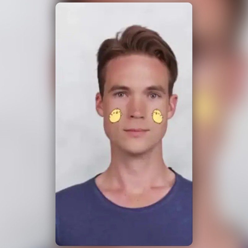 Chick blush Filter by Lexi | Snapchat Lenses