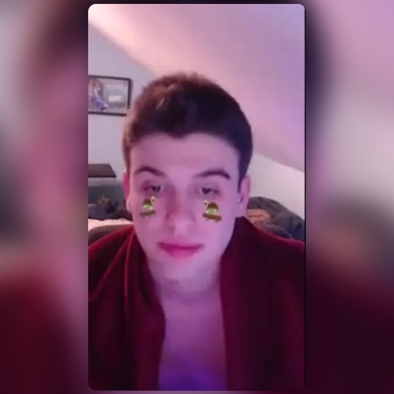 Sk8r Turtle Lens By Quinn Snapchat Lenses And Filters