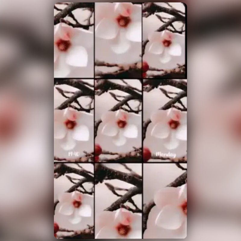 Cherry Blossom Lens by محمد - Snapchat Lenses and Filters