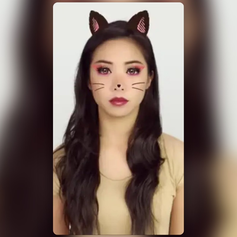 Kitty Cat Filter by Beauty Lab | Snapchat Lenses