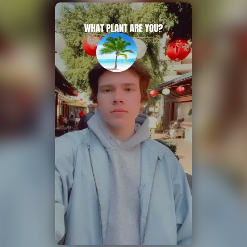 Your Plant Lens By Snapchat Snapchat Lenses And Filters