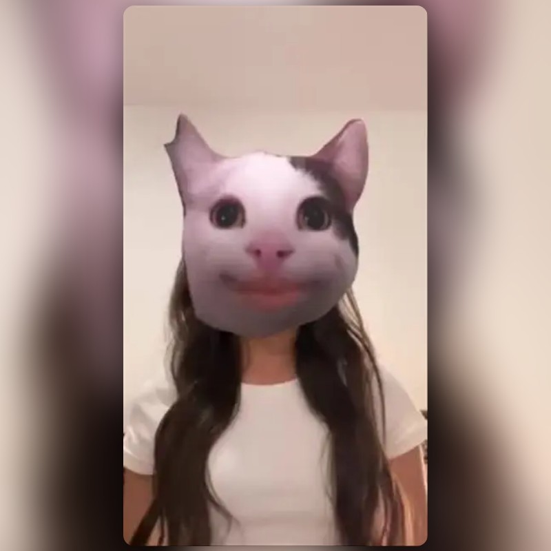 POM POM CAT Filter by Shreyansh Humane | Snapchat Lenses