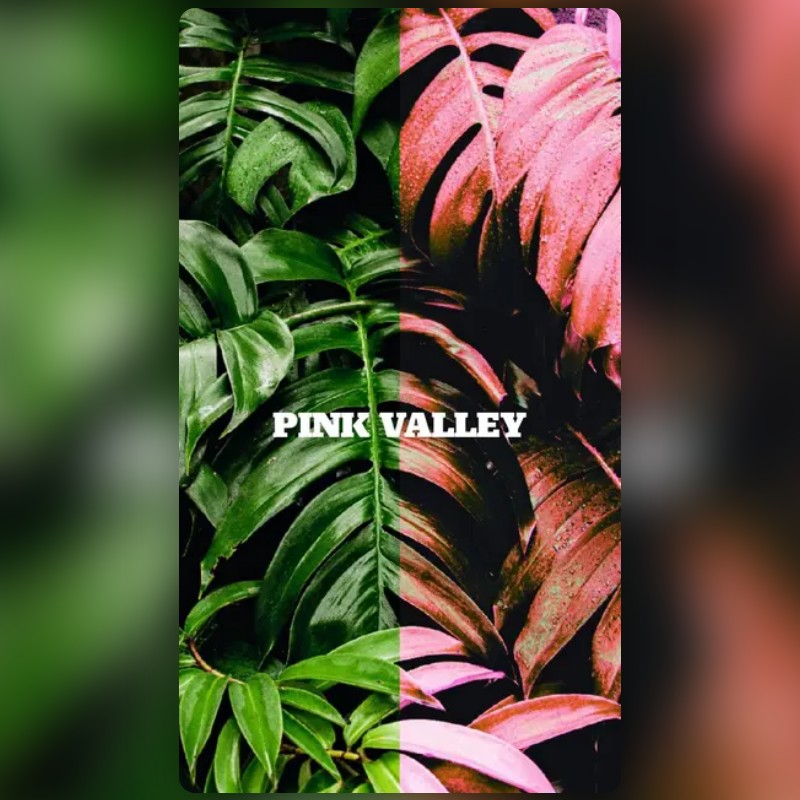 เลนส์ Pink Valley สร้างโดย Christopher Manning - เลนส์และฟิลเตอร์ Snapchat