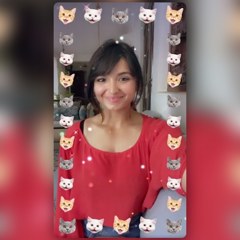 Cat's Frame Lens by Snapchat - Snapchat Lenses and Filters