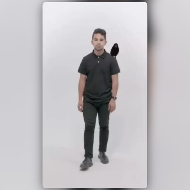 Shoulder Crow Filter by Andy Liao | Snapchat Lenses