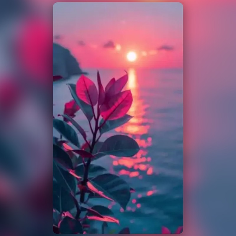 Pink Sunset & Leaf Lens by Dj Navi Jain - Snapchat Lenses and Filters