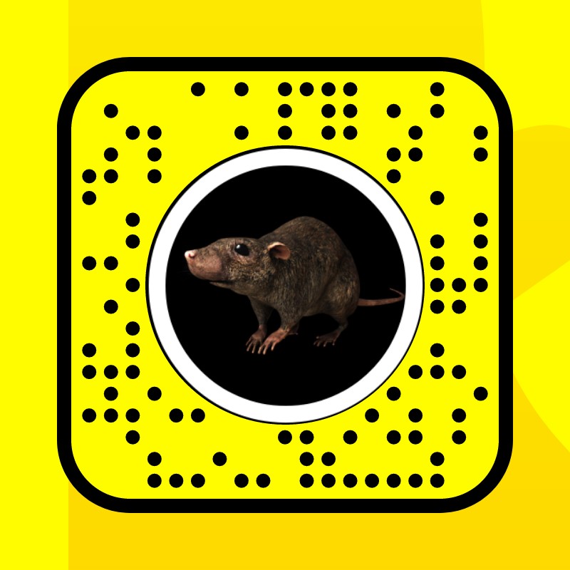 RAT Filter by Pixel Chefs | Snapchat Lenses