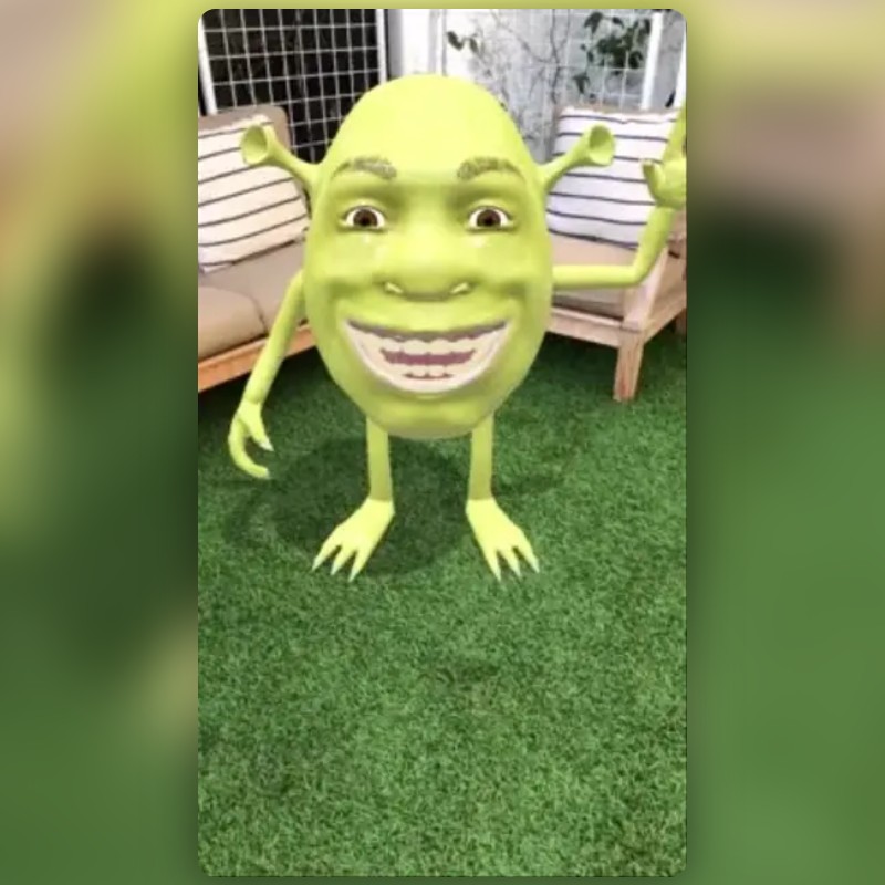 SHREK WAZOWSKI Lens by Sky 🕷️ - Snapchat Lenses and Filters