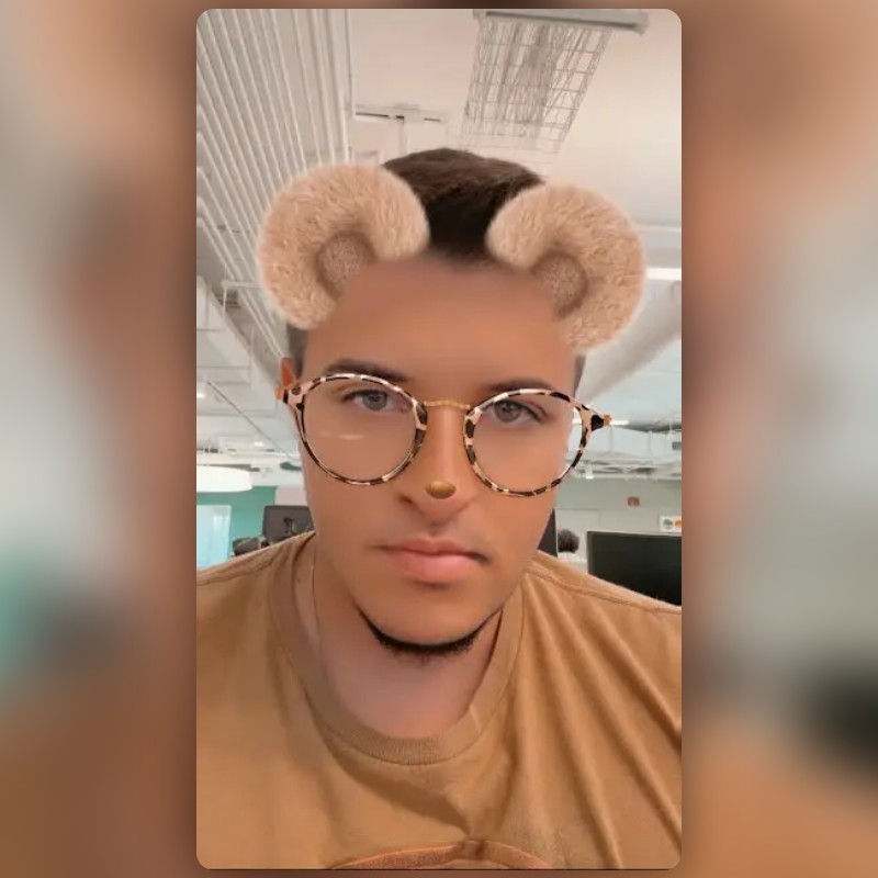 Beige Teddy Ears Lens by Snapchat - Snapchat Lenses and Filters