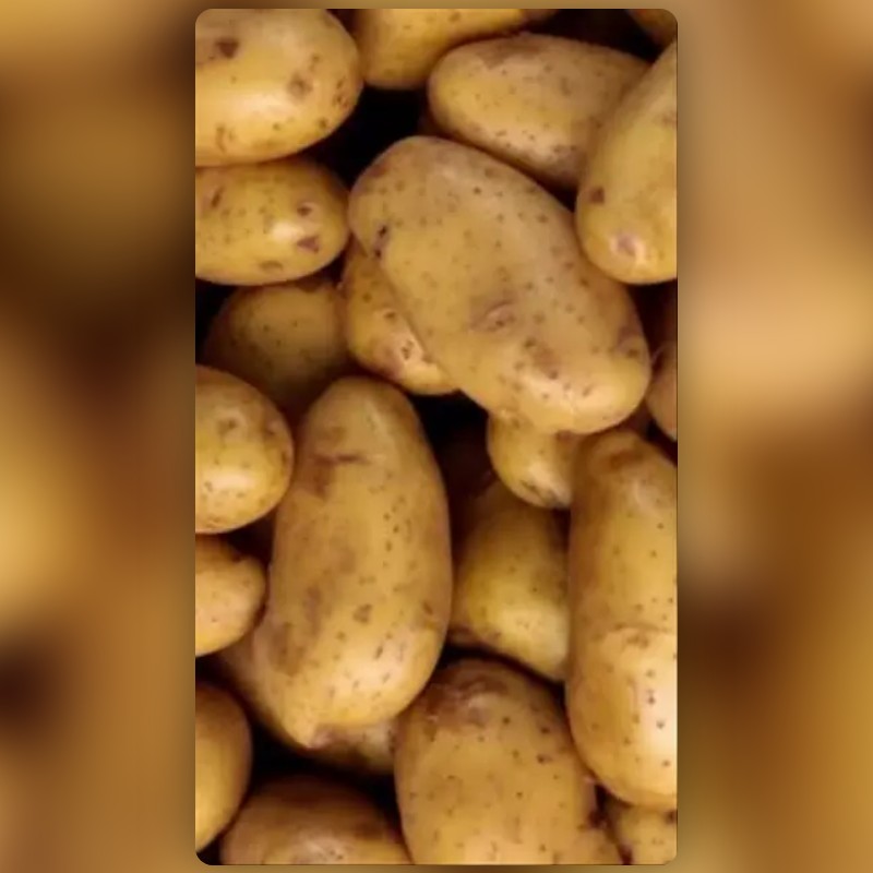 Potatoes Face Lens by Thibault - Snapchat Lenses and Filters