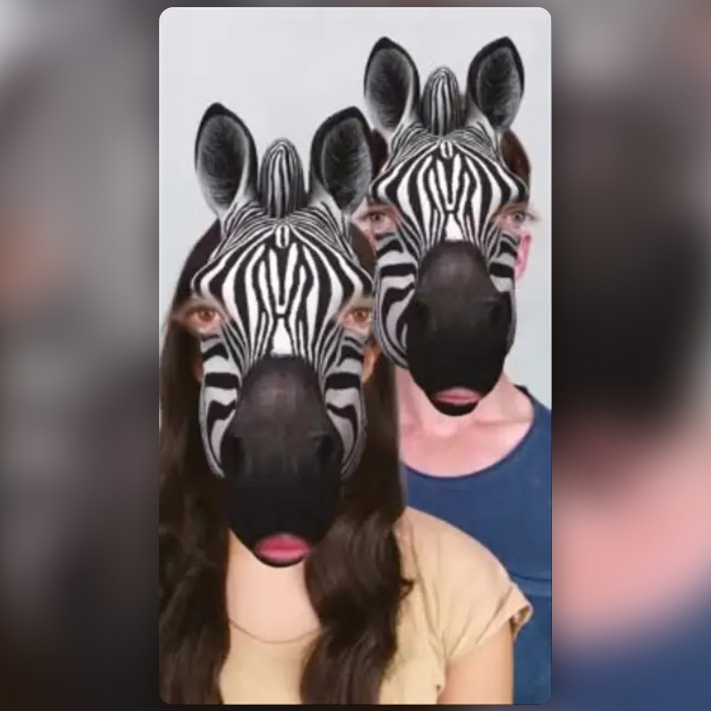 Zebra Lens by Nick DiVito 👁_👁 - Snapchat Lenses and Filters