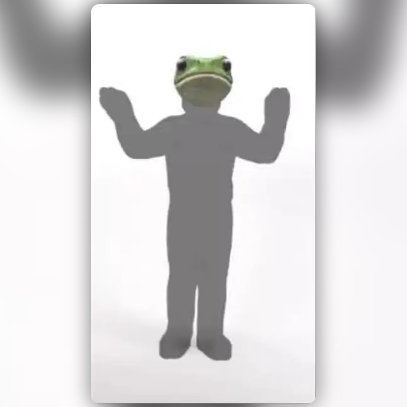 frog Filter by سعد ابو شهرين تقنيه واكثر | Snapchat Lenses