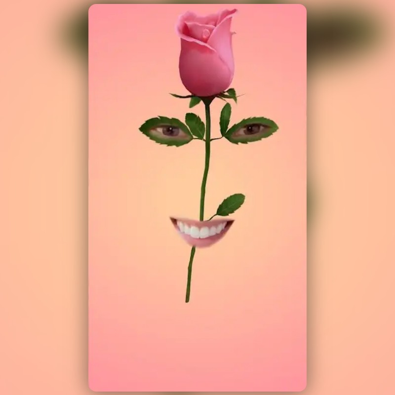 Rose Face Filter by Snapchat | Snapchat Lenses