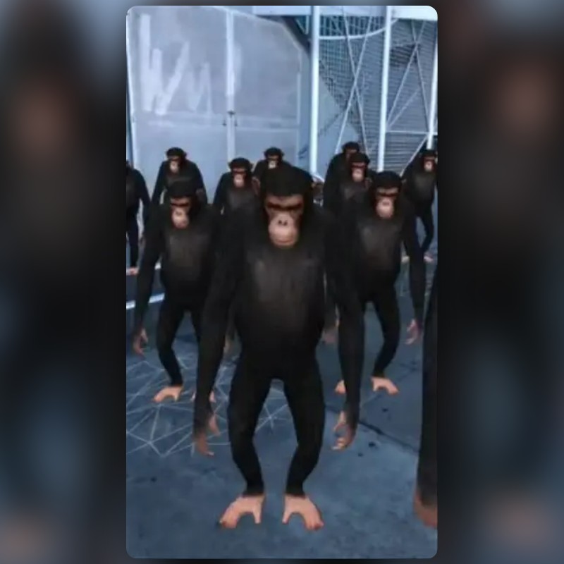 Dancing Chimpanzee Filter by بوعلياء 🦈 | Snapchat Lenses