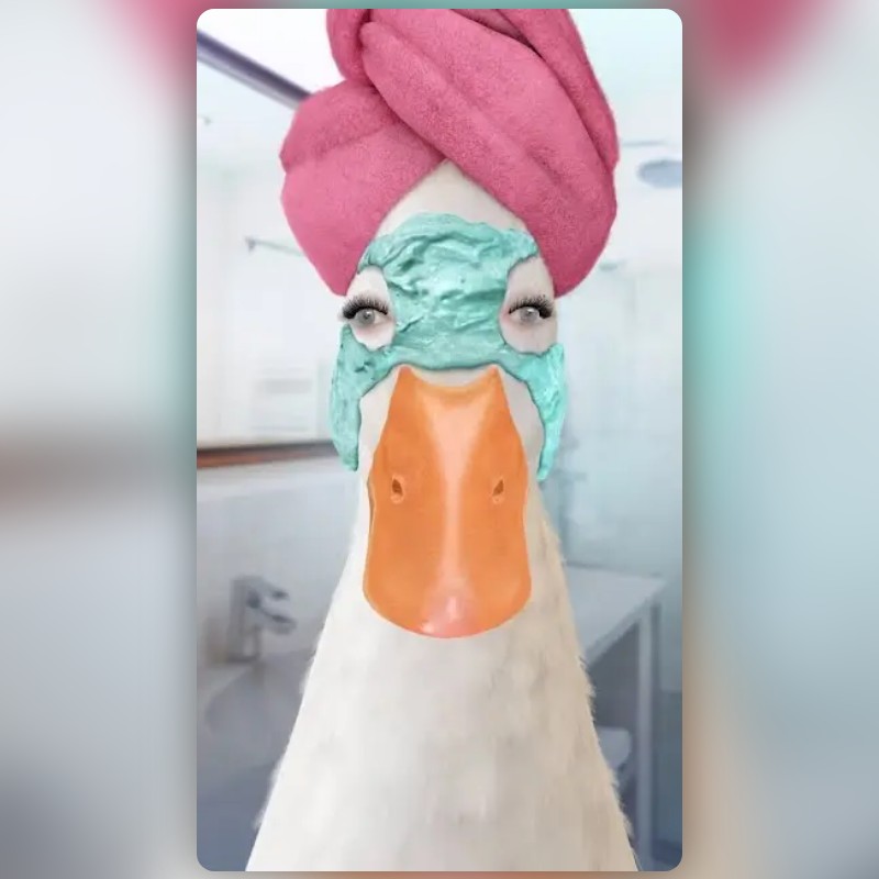 Relaxed Duck Filter by Snapchat | Snapchat Lenses
