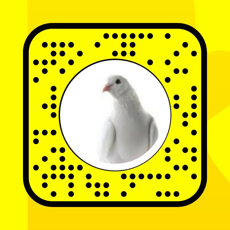 Pigeon birds Lens by ام سعيد - Snapchat Lenses and Filters
