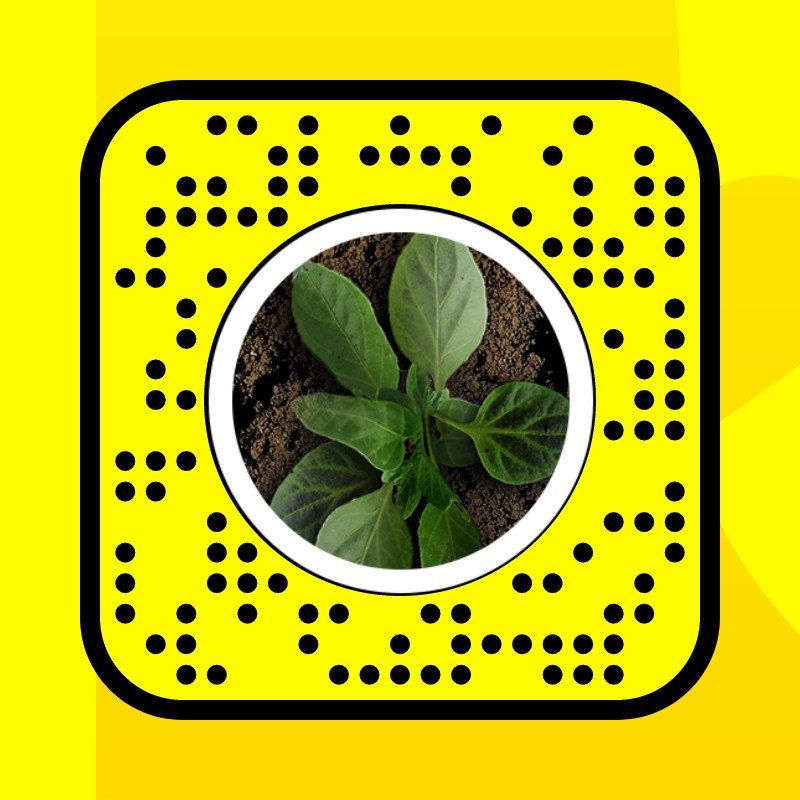earth Filter by simondefairy | Snapchat Lenses