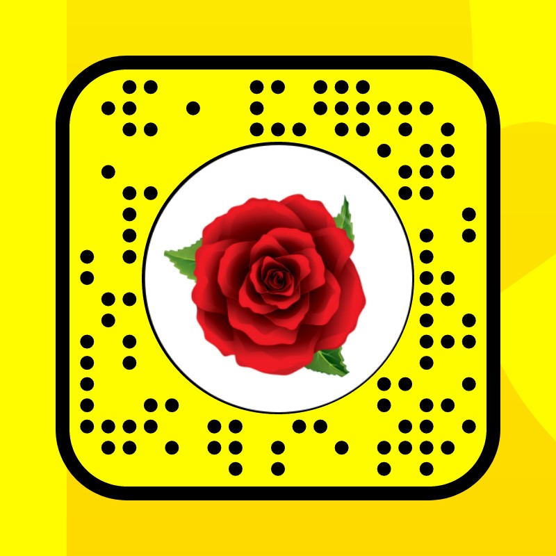 Rose Blush Lens by margot - Snapchat Lenses and Filters