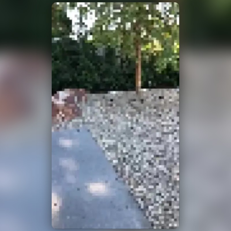 PIXEL Filter by Nicole Romero | Snapchat Lenses