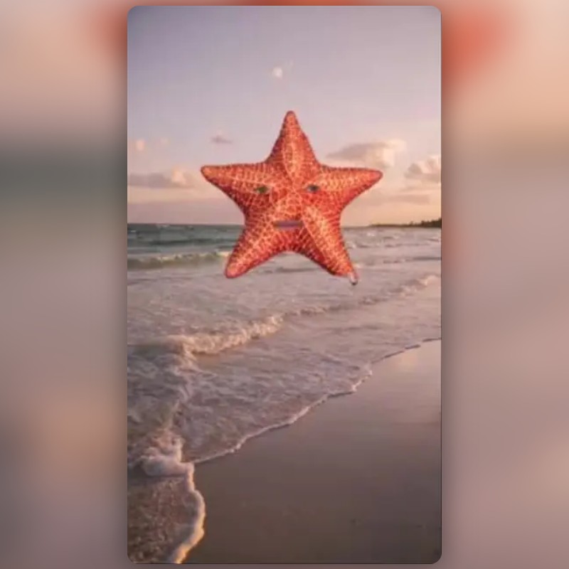 Starfish Beach Lens by Mingkrisnha - Snapchat Lenses and Filters