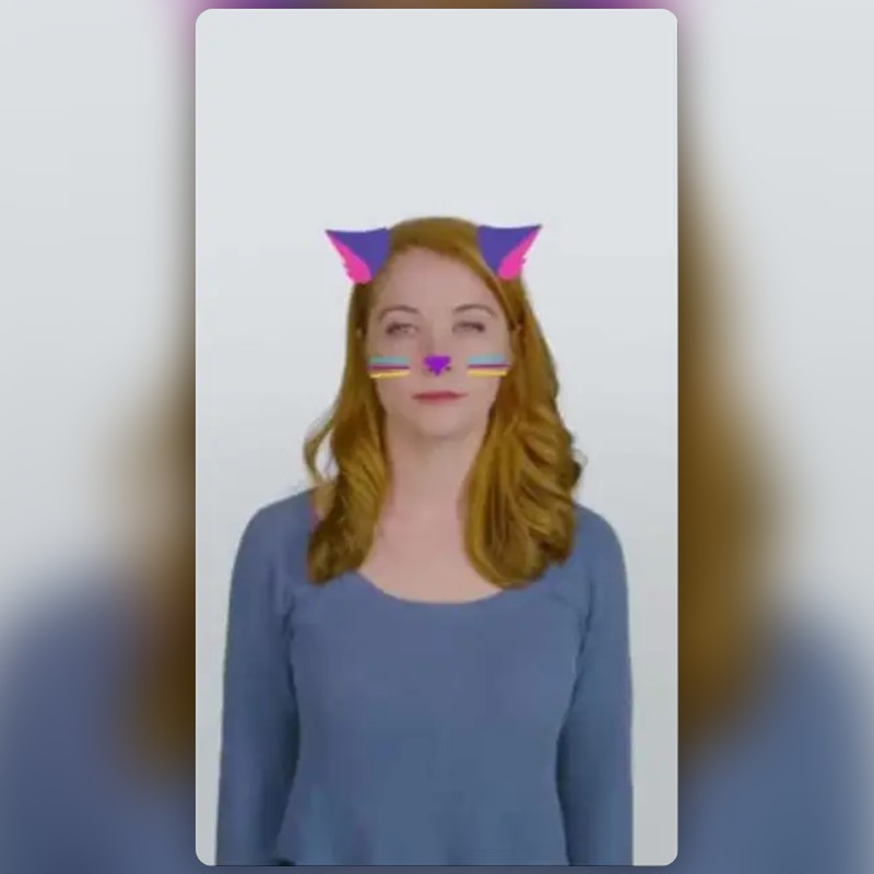 Cute Cat Lens by Amishi Malhotra - Snapchat Lenses and Filters