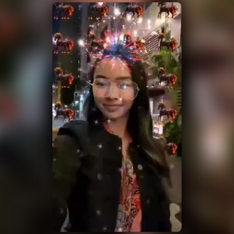 Horse Lens by Gayatri Devi - Snapchat Lenses and Filters