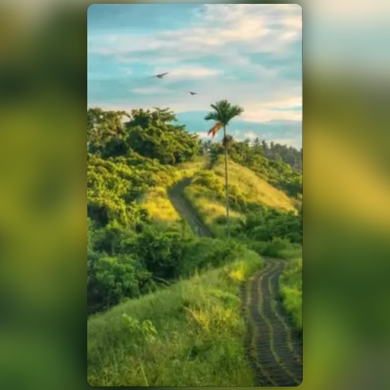 Beautiful Spring Lens by BK - Snapchat Lenses and Filters