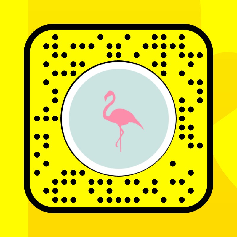 Flamingo Filter by ABDULLA PHONE 📱⌚️ | Snapchat Lenses
