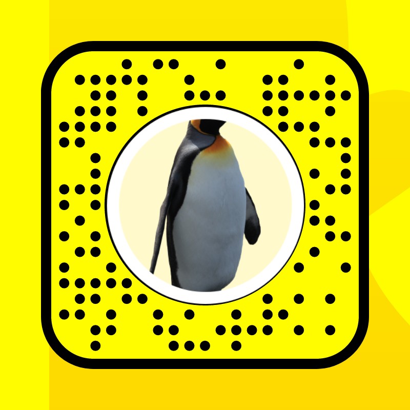 penguin on head Lens by owen dadds - Snapchat Lenses and Filters