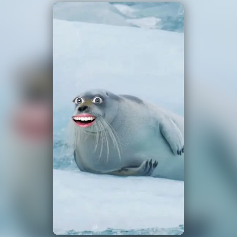 Funny Seal Filter by Snapchat | Snapchat Lenses