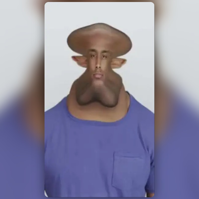 Weird Face Filter by Ansh Patel | Snapchat Lenses