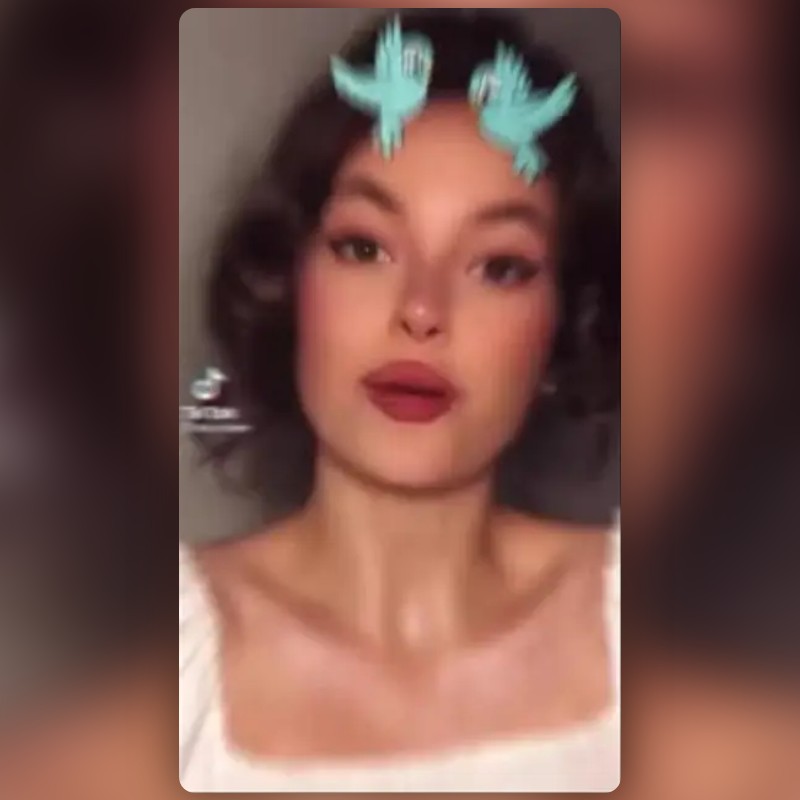 เลนส์ Lil Birdie สร้างโดย Jhanavi - เลนส์และฟิลเตอร์ Snapchat