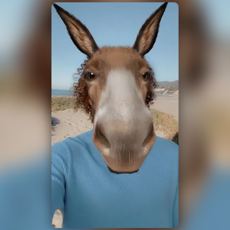 Donkey Filter by Snapchat | Snapchat Lenses