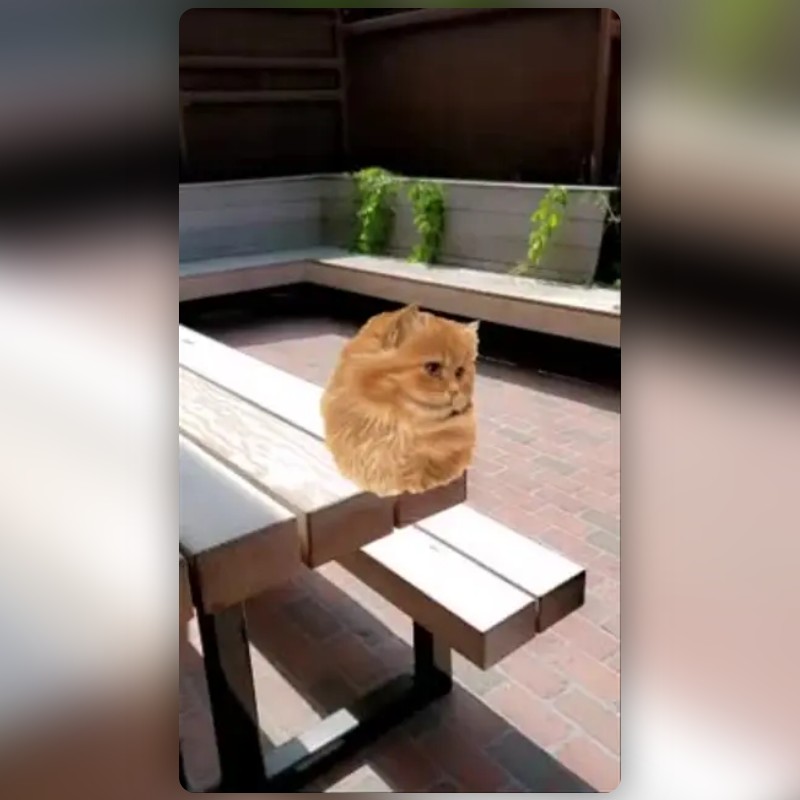 Animals Lens by Under 25 AnHa - Snapchat Lenses and Filters