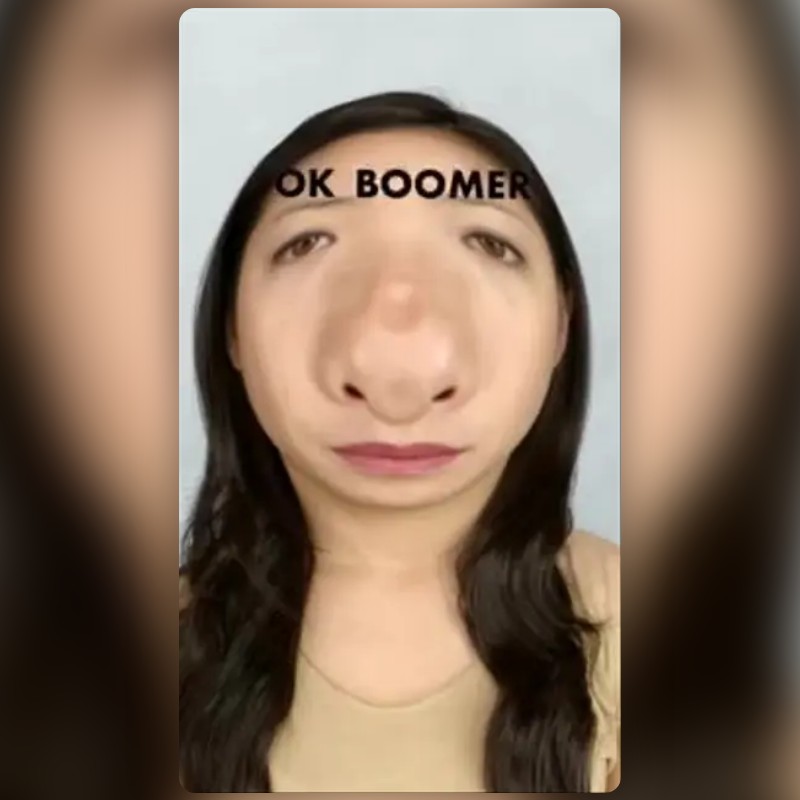 Ok boomer Filter by Lamar | Snapchat Lenses