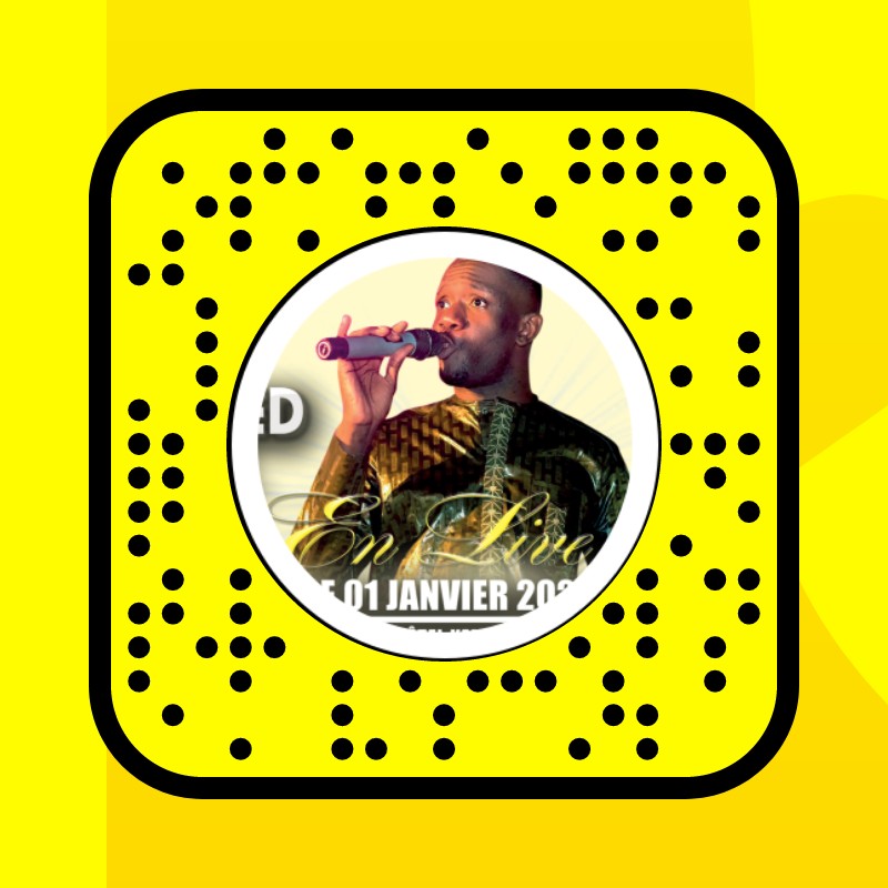 DIABY EN CONCERT Filter by Mamad’ART👨🏾‍💻🇲🇱 | Snapchat Lenses