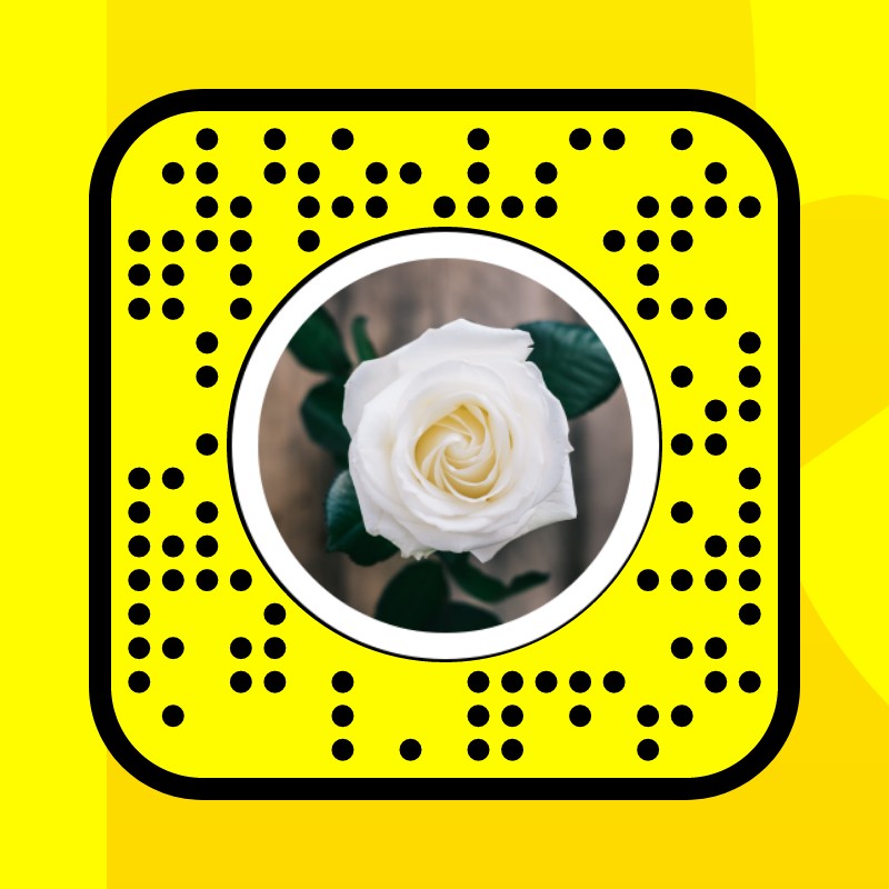 Vivid Cool Filter by nhuebecker | Snapchat Lenses