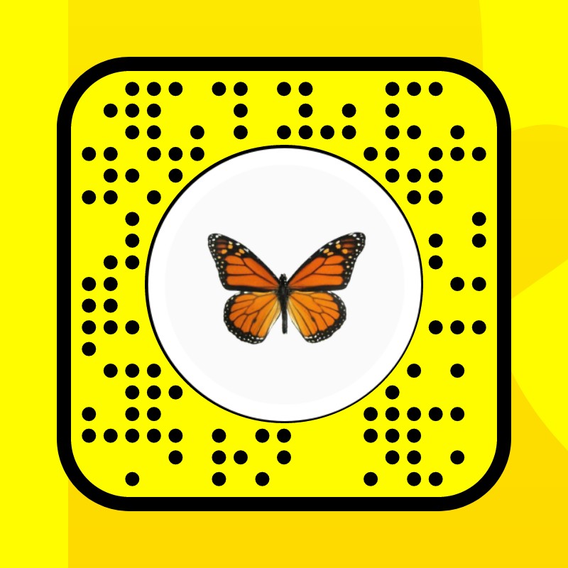 orange butterfly Filter by Annie ♡ | Snapchat Lenses